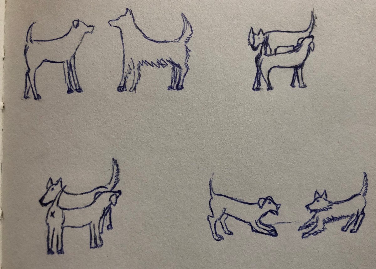 Interazione tra Cani: Fasi e Segnali di Disagio – Noi e i cani